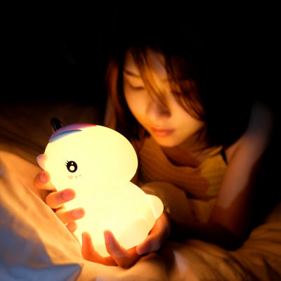ALL IN 1 Brand NEW Portable Rechargable Flashlight Night light Table night LJC-132 supplier