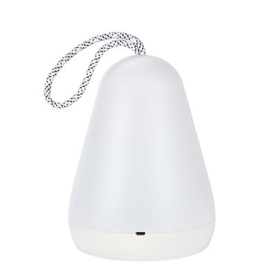 ALL IN 1 Brand NEW Portable Rechargable Flashlight Night light Table night LJC-131 supplier