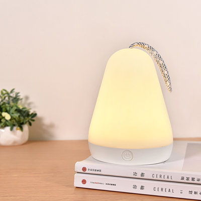 ALL IN 1 Brand NEW Portable Rechargable Flashlight Night light Table night LJC-131 supplier