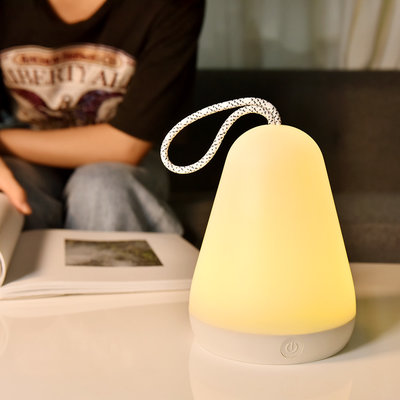 ALL IN 1 Brand NEW Portable Rechargable Flashlight Night light Table night LJC-131 supplier