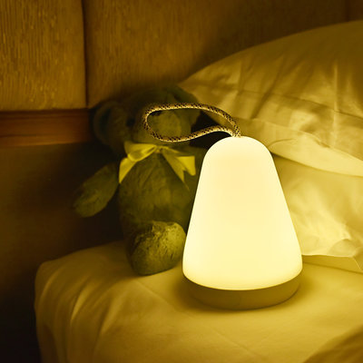 ALL IN 1 Brand NEW Portable Rechargable Flashlight Night light Table night LJC-131 supplier