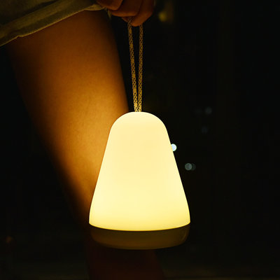 ALL IN 1 Brand NEW Portable Rechargable Flashlight Night light Table night LJC-131 supplier