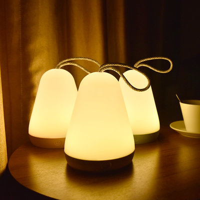 ALL IN 1 Brand NEW Portable Rechargable Flashlight Night light Table night LJC-131 supplier