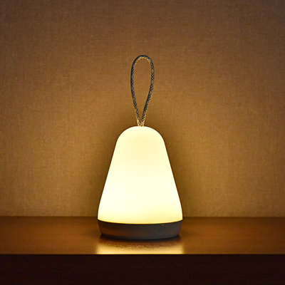 ALL IN 1 Brand NEW Portable Rechargable Flashlight Night light Table night LJC-131 supplier