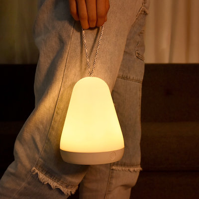 ALL IN 1 Brand NEW Portable Rechargable Flashlight Night light Table night LJC-131 supplier