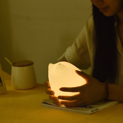 ALL IN 1 Brand NEW Portable Rechargable Flashlight Night light Table night LJC-101 supplier
