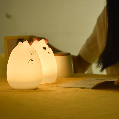 ALL IN 1 Brand NEW Portable Rechargable Flashlight Night light Table night LJC-101 supplier