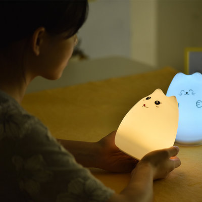ALL IN 1 Brand NEW Portable Rechargable Flashlight Night light Table night LJC-101 supplier