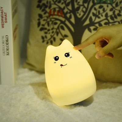ALL IN 1 Brand NEW Portable Rechargable Flashlight Night light Table night LJC-101 supplier