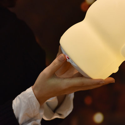 ALL IN 1 Brand NEW Portable Rechargable Flashlight Night light Table night LJC-119 supplier