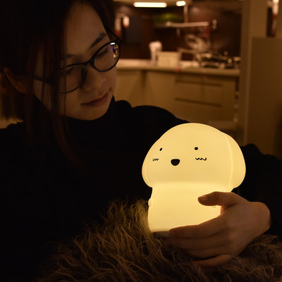 ALL IN 1 Brand NEW Portable Rechargable Flashlight Night light Table night LJC-119 supplier
