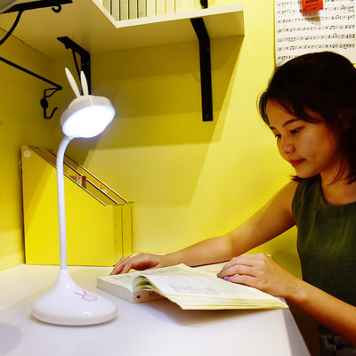ALL IN 1 Brand NEW Portable Rechargable Flashlight Night light Table night LJC-113 supplier