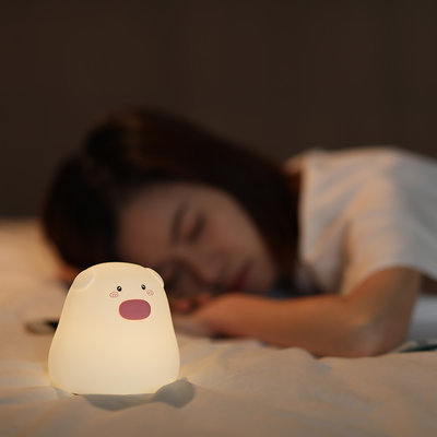 ALL IN 1 Brand NEW Portable Rechargable Flashlight Night light Table night LJC-127 supplier