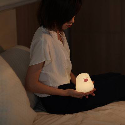 ALL IN 1 Brand NEW Portable Rechargable Flashlight Night light Table night LJC-127 supplier