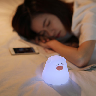 ALL IN 1 Brand NEW Portable Rechargable Flashlight Night light Table night LJC-127 supplier