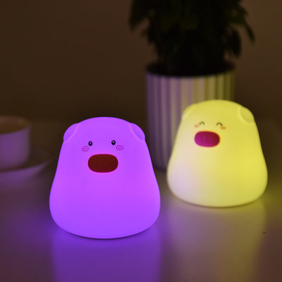 ALL IN 1 Brand NEW Portable Rechargable Flashlight Night light Table night LJC-127 supplier