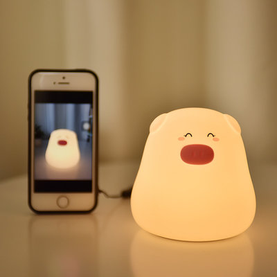 ALL IN 1 Brand NEW Portable Rechargable Flashlight Night light Table night LJC-127 supplier