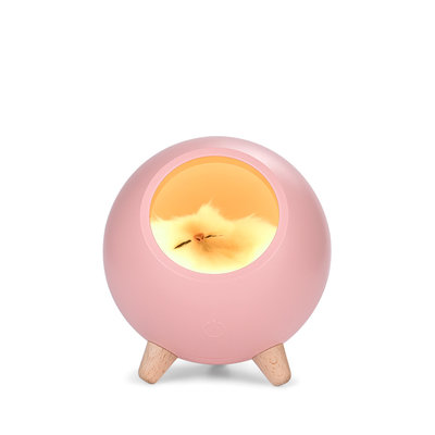 ALL IN 1 Brand NEW Portable Rechargable Flashlight Night light Table night LJC-130 supplier