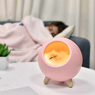 ALL IN 1 Brand NEW Portable Rechargable Flashlight Night light Table night LJC-130 supplier