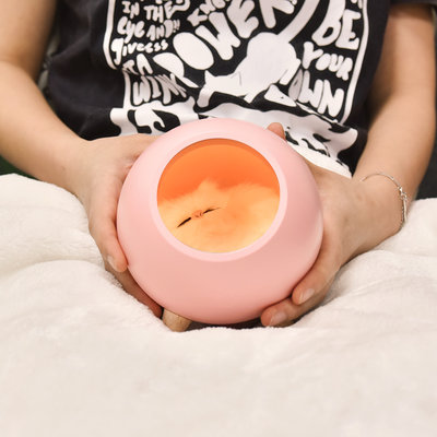 ALL IN 1 Brand NEW Portable Rechargable Flashlight Night light Table night LJC-130 supplier