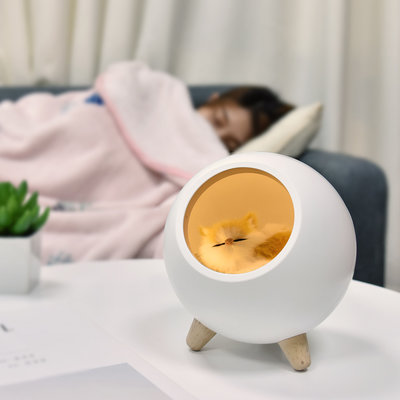 ALL IN 1 Brand NEW Portable Rechargable Flashlight Night light Table night LJC-130 supplier