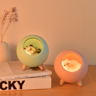 ALL IN 1 Brand NEW Portable Rechargable Flashlight Night light Table night LJC-130 supplier