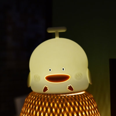 ALL IN 1 Brand NEW Portable Rechargable Flashlight Night light Table night LJC-114 supplier