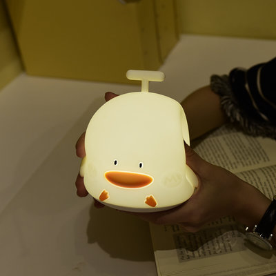 ALL IN 1 Brand NEW Portable Rechargable Flashlight Night light Table night LJC-114 supplier
