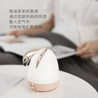 New Product Ideas 2019 USB Essential Oil new product ultrasonic mist maker air essential oils diffuser GXZ-KX101 supplier