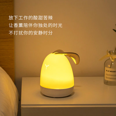 New Product Ideas 2019 USB Essential Oil new product ultrasonic mist maker air essential oils diffuser GXZ-KX101 supplier