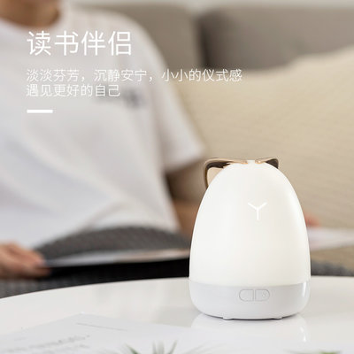 New Product Ideas 2019 USB Essential Oil new product ultrasonic mist maker air essential oils diffuser GXZ-KX101 supplier