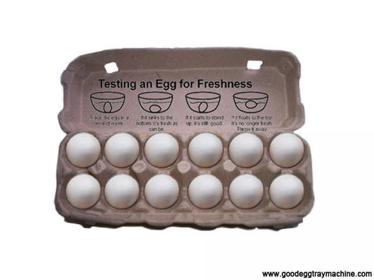 Egg Tray Machine (FZ-ZMW-4)