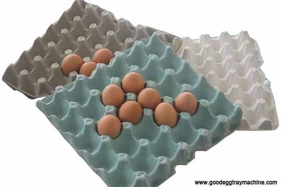 Full Atomatic Paper Pulp Egg Tray Machine(FC-ZMG6-48)