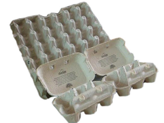 Paper Egg Holder making machinery(FC-ZMG6-48)