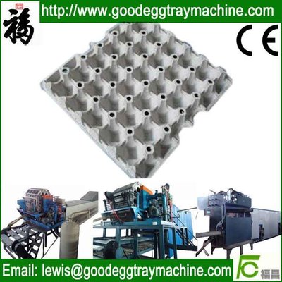 Egg tray plant