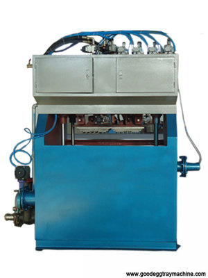 Egg tray plant(FC-ZMW-3)