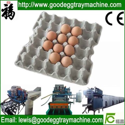 Egg tray plant(FC-ZMG4-32)