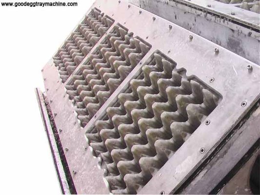 Egg tray plant(FC-ZMG4-32)
