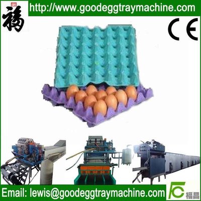 Egg tray plant(FC-ZMG6-48)
