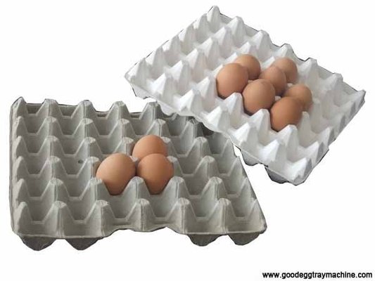 Automatic Paper Pulp Molded Egg Tray Machine(FC-ZMG3-24)