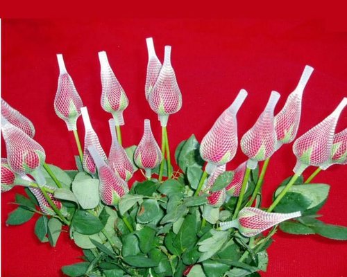 EPE Foam plastic roses net Making Machinery(FCEPEW-70)