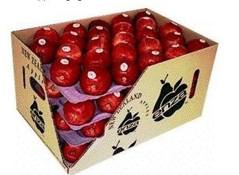 apple fruit tray processing machinery