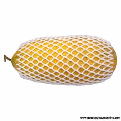 EPE Foam Pear sleeve mesh net Extrusion line(FCEPEW-70)