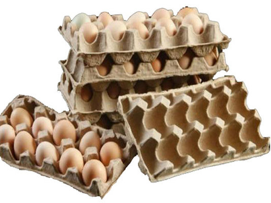 Paper pulp molding/moulding machinery to make egg tray/egg carton