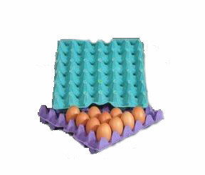 High Quality Used Paper Pulp Moulding Machine