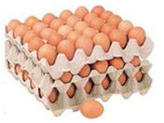 Egg Tray Forming Machine