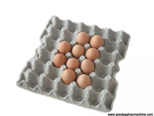 Single layer Paper Egg Tray Drying Line