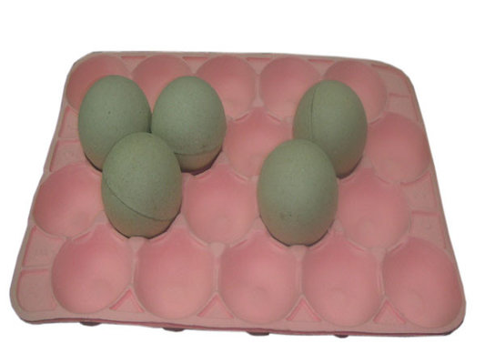 Fruit Tray Production Line