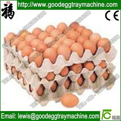 Roller Type Pulp Moulding Machine (FC-ZMG3-24)