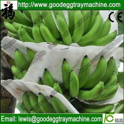 EPE Foam Sheet Extrudsion Line(FCFPM-150)